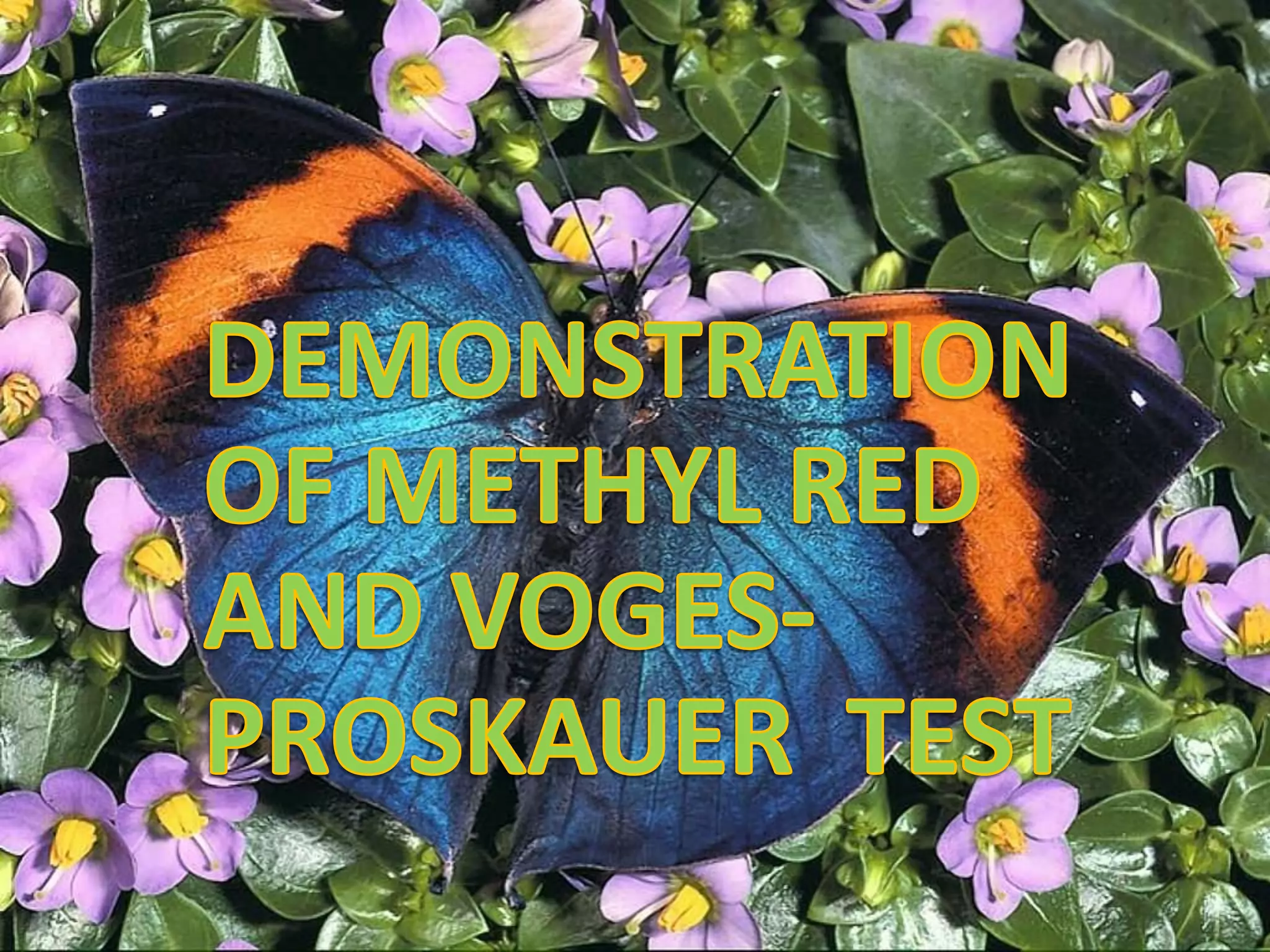 DEMONSTRATION OF METHYL RED AND VOGES-PROSKAUER TEST | PPTX