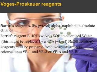 DEMONSTRATION OF METHYL RED AND VOGES-PROSKAUER TEST | PPTX