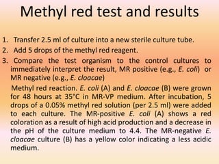 DEMONSTRATION OF METHYL RED AND VOGES-PROSKAUER TEST | PPTX