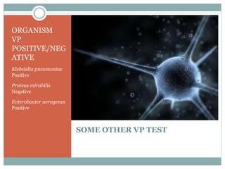 DEMONSTRATION OF METHYL RED AND VOGES-PROSKAUER TEST | PPTX