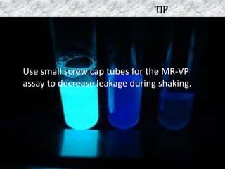 DEMONSTRATION OF METHYL RED AND VOGES-PROSKAUER TEST | PPTX