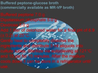 DEMONSTRATION OF METHYL RED AND VOGES-PROSKAUER TEST | PPTX