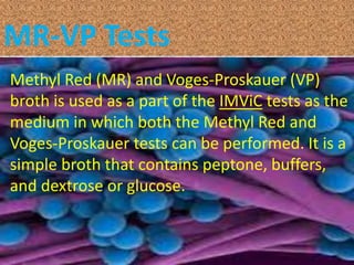 DEMONSTRATION OF METHYL RED AND VOGES-PROSKAUER TEST | PPTX