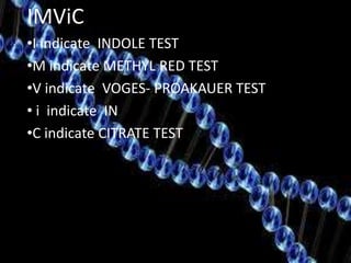 DEMONSTRATION OF METHYL RED AND VOGES-PROSKAUER TEST | PPTX