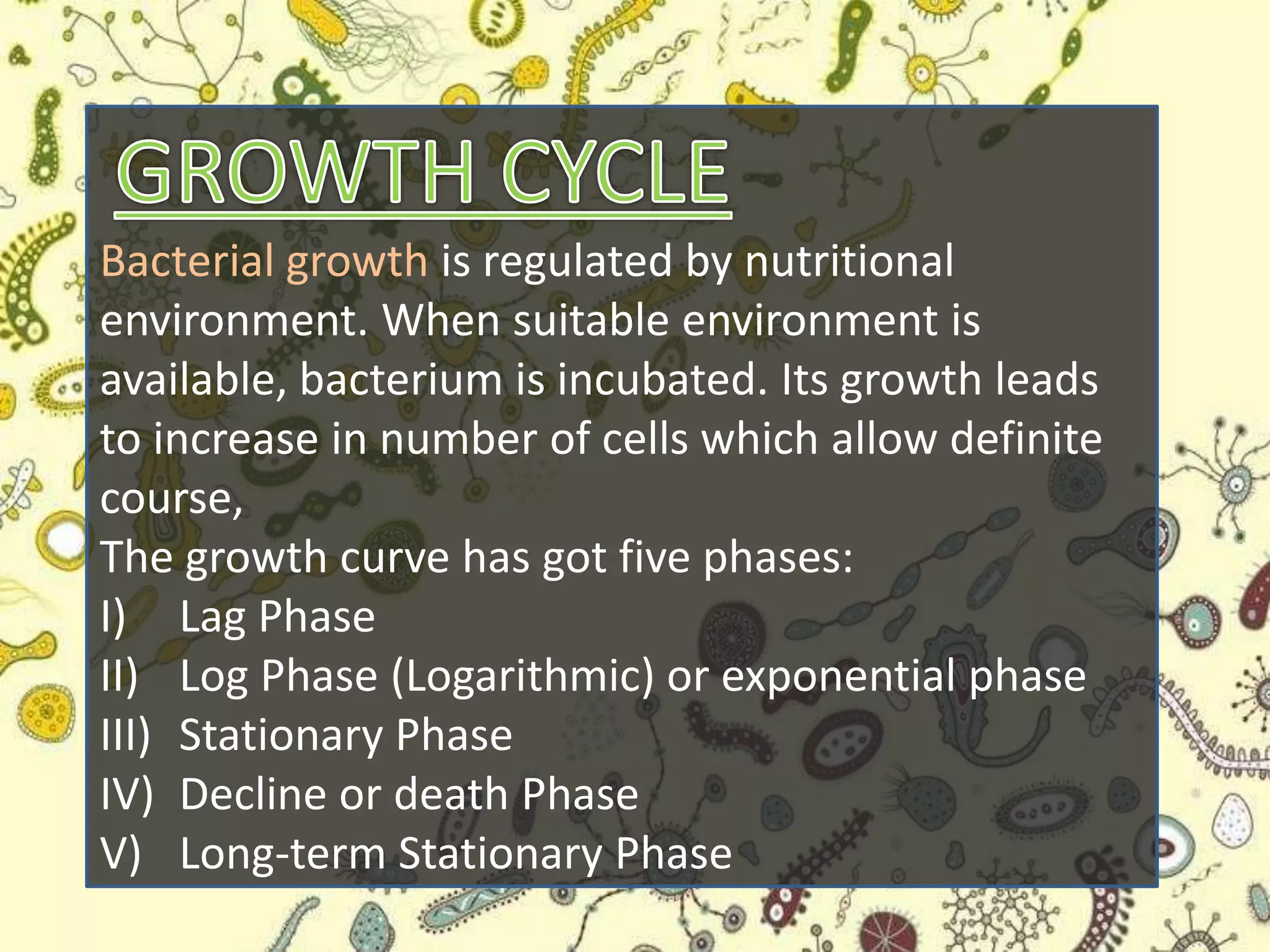 Phases Of Bacterial Growth | PPTX