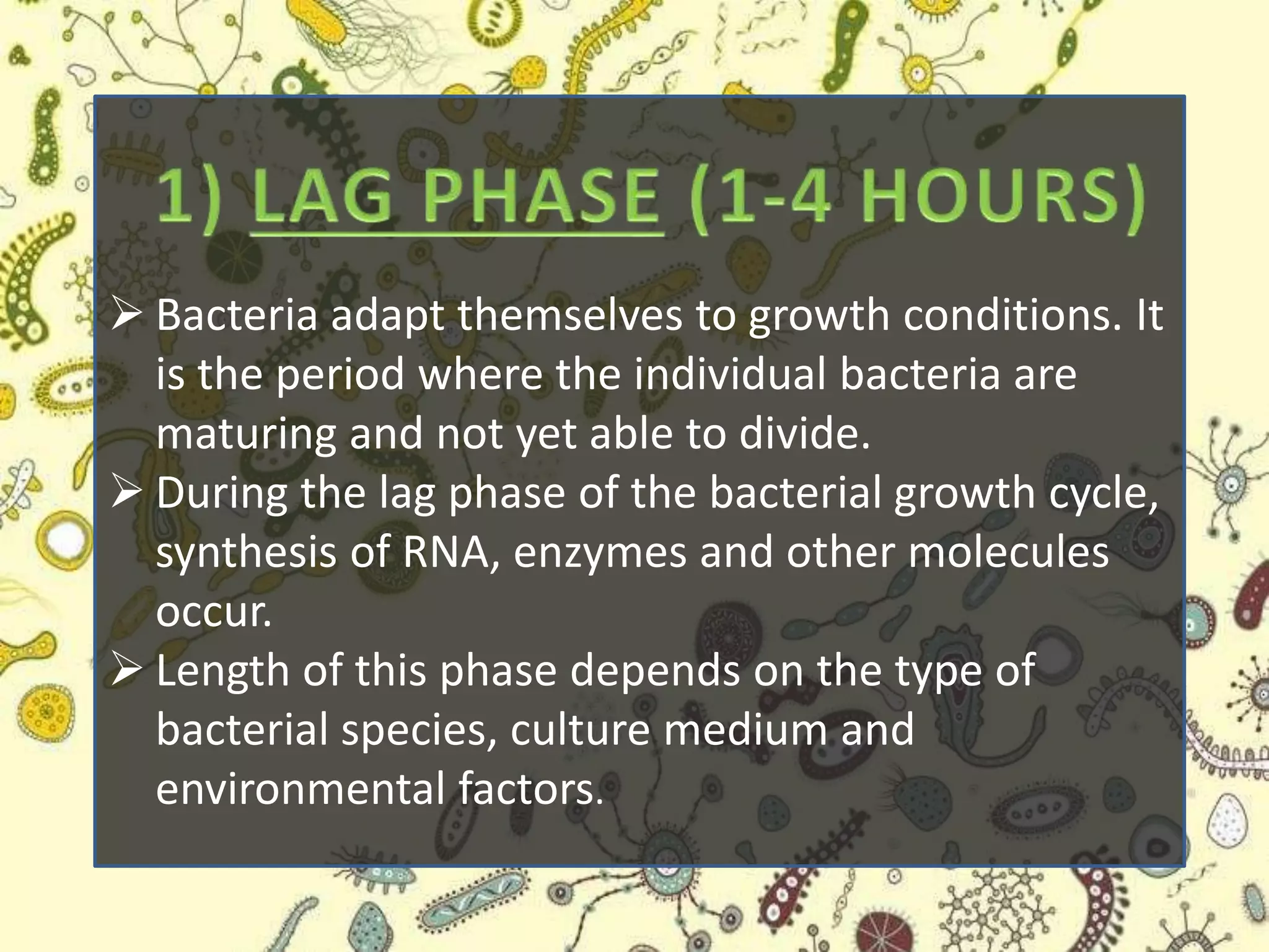 Phases Of Bacterial Growth | PPTX