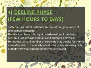 Phases Of Bacterial Growth | PPTX