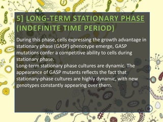Phases Of Bacterial Growth | PPTX