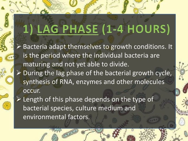 Phases Of Bacterial Growth | PPTX