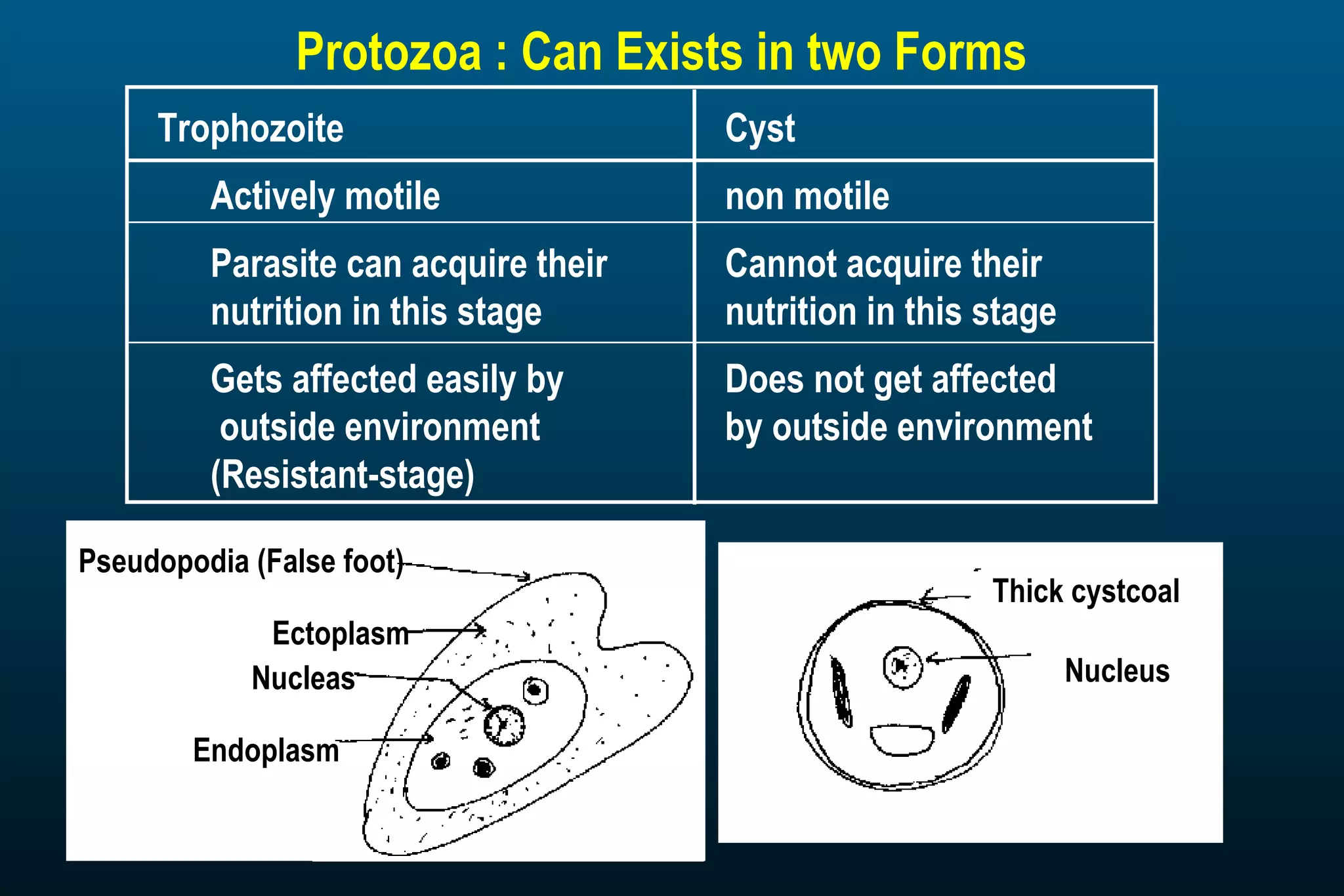 Microbiology | PPT