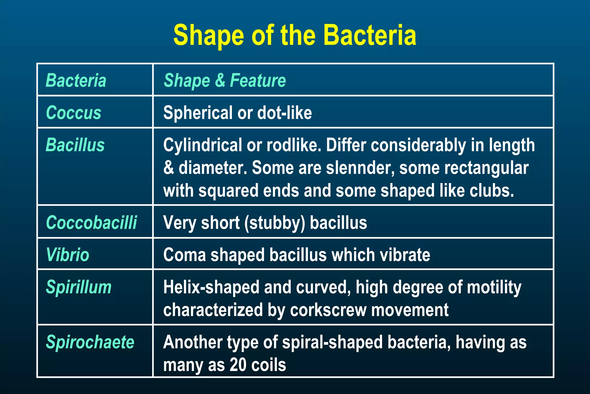 Microbiology | PPT