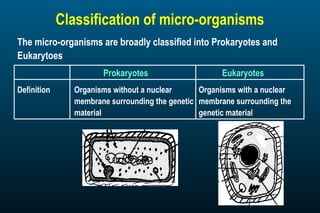 Microbiology | PPT