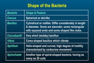 Microbiology | PPT