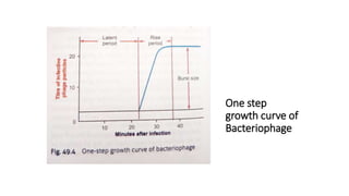 BACTERIOPHAGE LIFE CYCLE - LYSIS AND LYSOGENY | PPTX