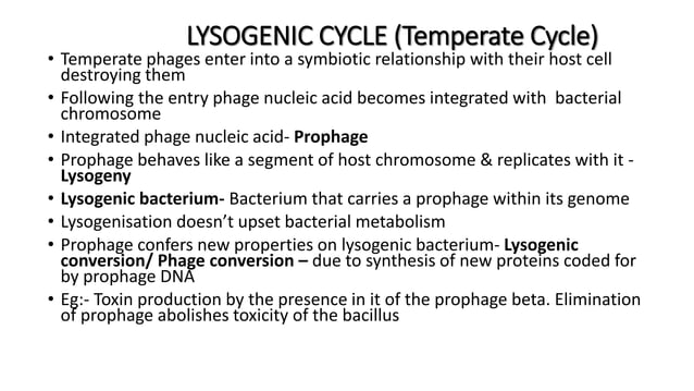 BACTERIOPHAGE LIFE CYCLE - LYSIS AND LYSOGENY | PPTX | Infectious ...