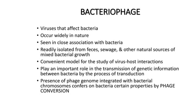 BACTERIOPHAGE LIFE CYCLE - LYSIS AND LYSOGENY | PPTX | Infectious Diseases | Diseases and Conditions