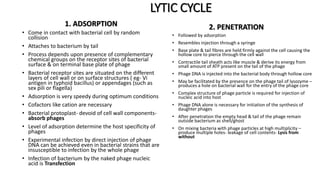 BACTERIOPHAGE LIFE CYCLE - LYSIS AND LYSOGENY | PPTX