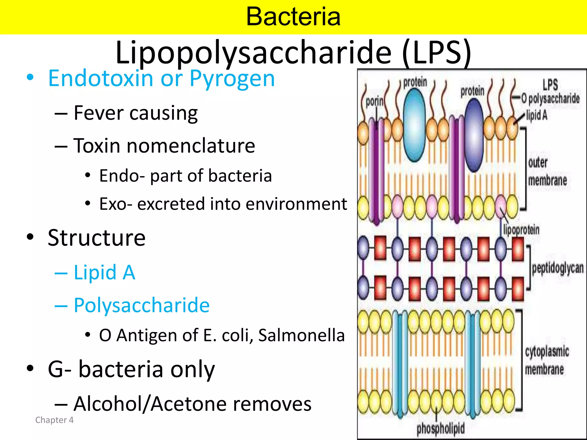 Microbiology | PPTX