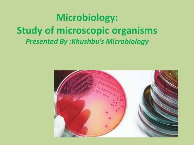 Microbiology :study of microscopic organisms | PPT