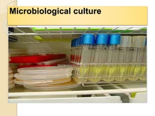 Microbiological culture | PPTX