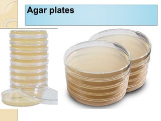 Microbiological culture | PPTX
