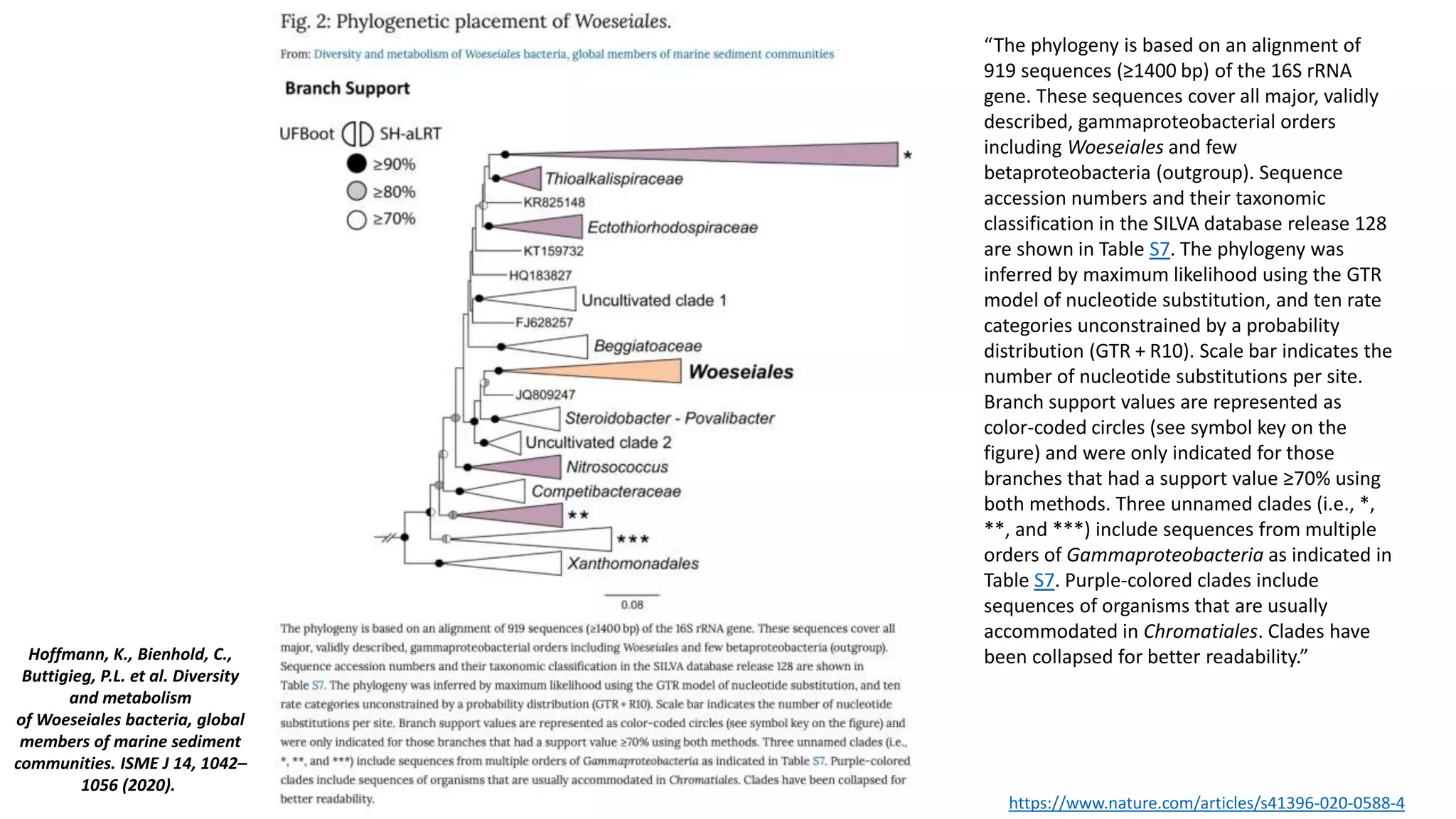 Microbiology | PPTX