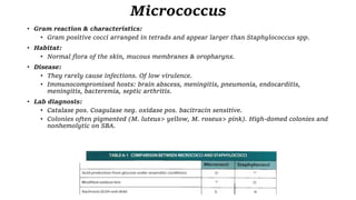 Medical Microbiology - Bacteriology | PPTX