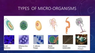Microbiology.pptx