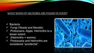 Microorganism in food.pptx