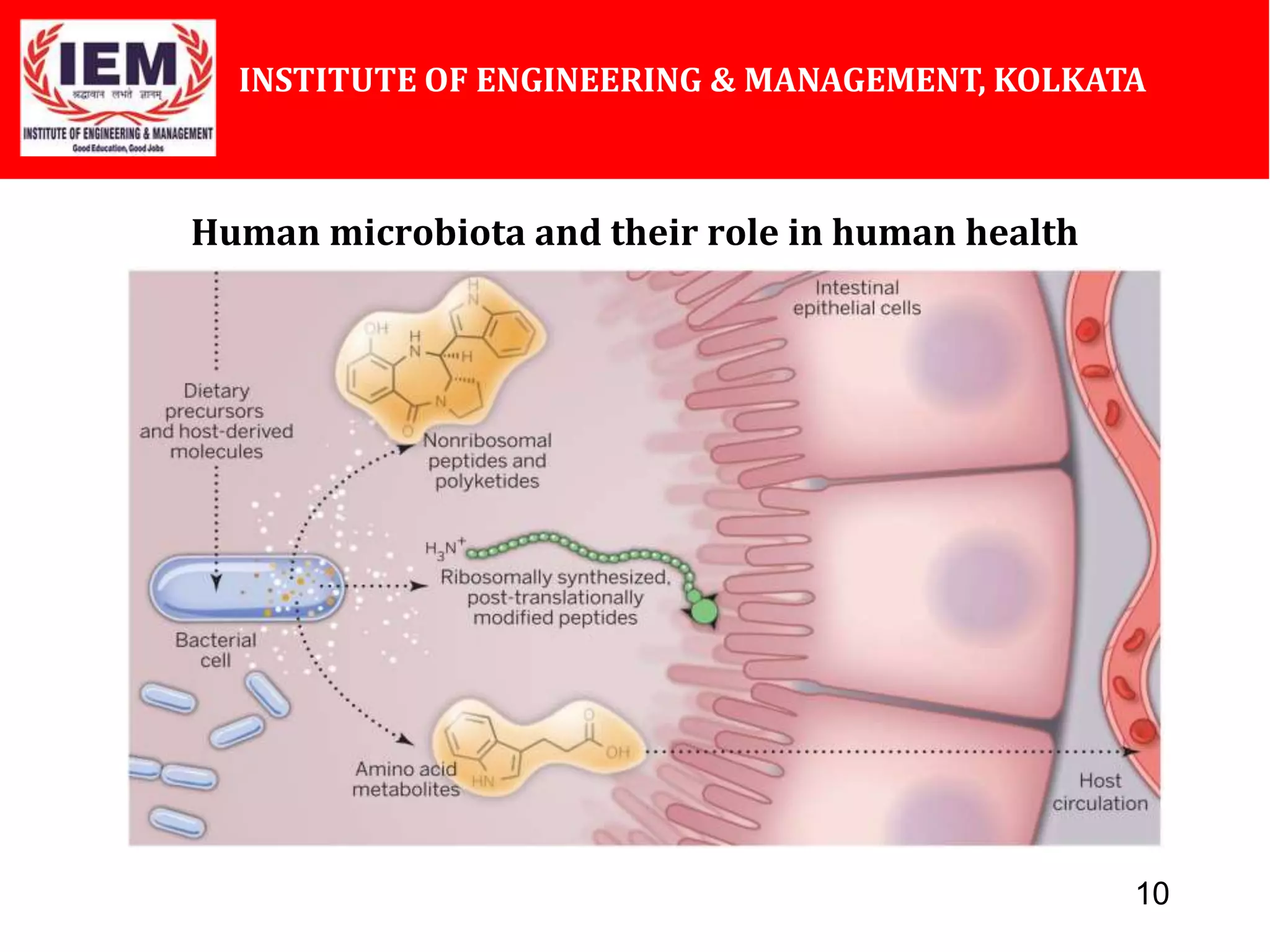 microbiology.ppt