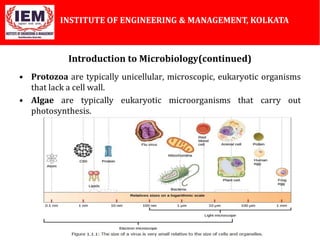 microbiology.ppt