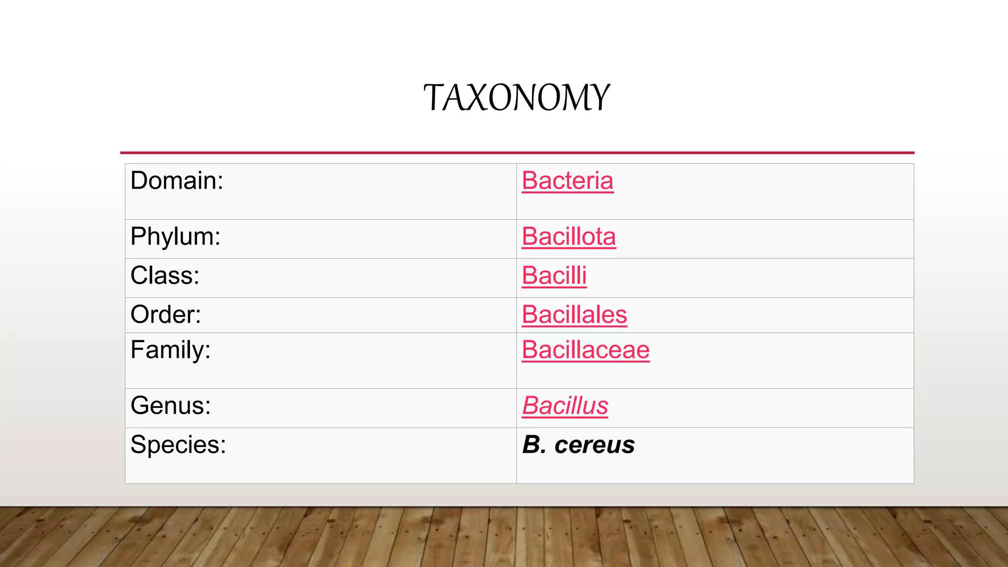 Microbiology bacillus cereus.pptx