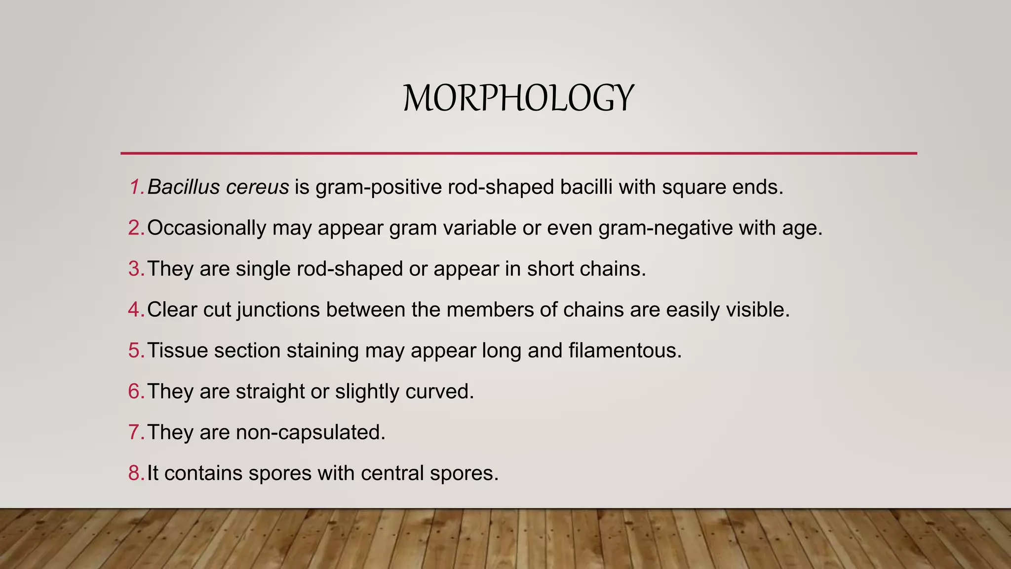Microbiology bacillus cereus.pptx | Science
