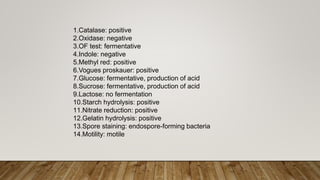 Microbiology bacillus cereus.pptx