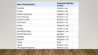 Microbiology bacillus cereus.pptx