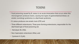 Microbiology bacillus cereus.pptx | Science