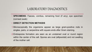 Microbiology bacillus cereus.pptx