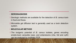 Microbiology bacillus cereus.pptx