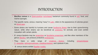 Microbiology bacillus cereus.pptx