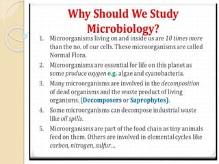 Microbiology.pptx