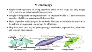 microbiology.pptx