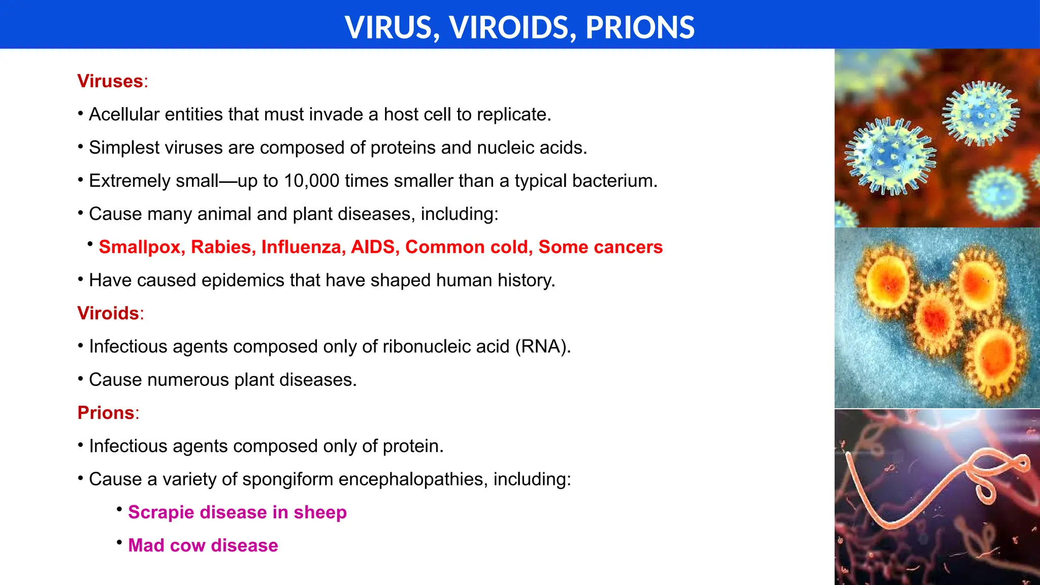 Classification of Microorganisms (Microbiology) | PPTX