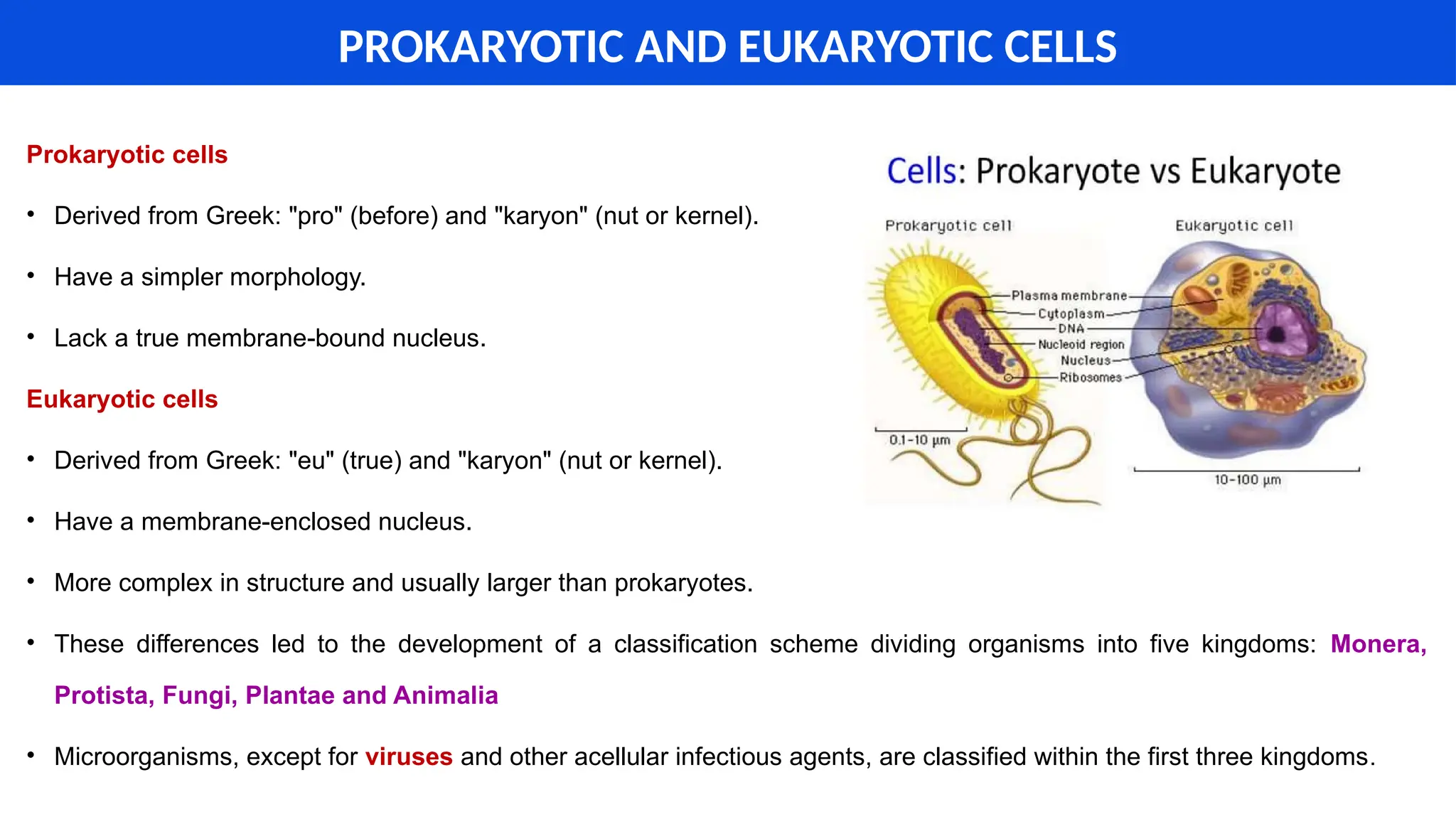 Classification of Microorganisms (Microbiology) | PPTX