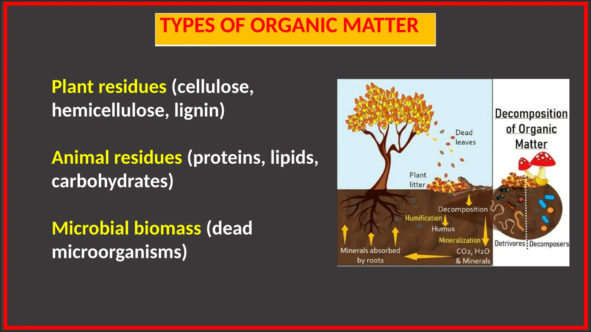 Microbial degradation of organic matter in soil.pptx