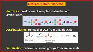Microbial degradation of organic matter in soil.pptx