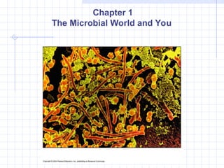 Microbiology introduction of microbs .ppt