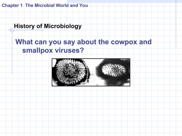 Microbiology introduction of microbs .ppt