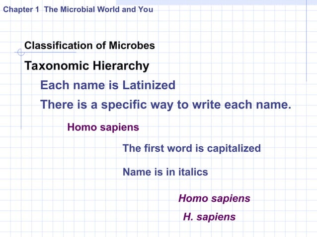Microbiology introduction of microbs .ppt