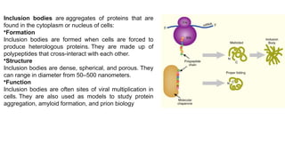 microbiology of microorganisms for biology | PPTX