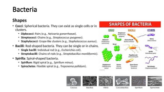 Classification and morphology of microbes.pptx